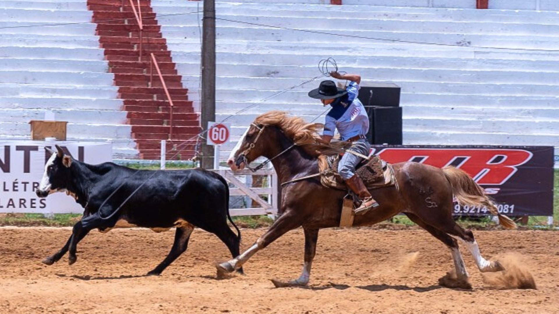 Estudo aponta que rodeios movimentaram mais de R$ 2 Bilhões no RS em ...